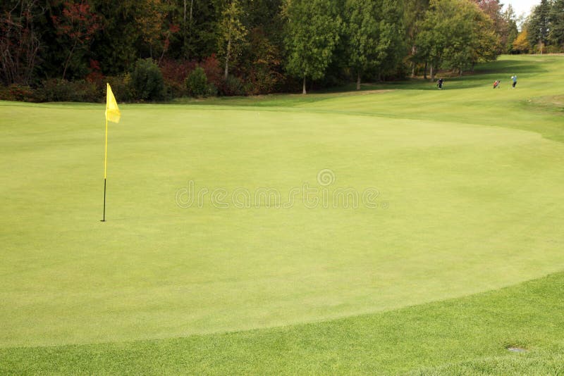 Golf Course - Luxury International Standard Stock Photo - Image of tree ...