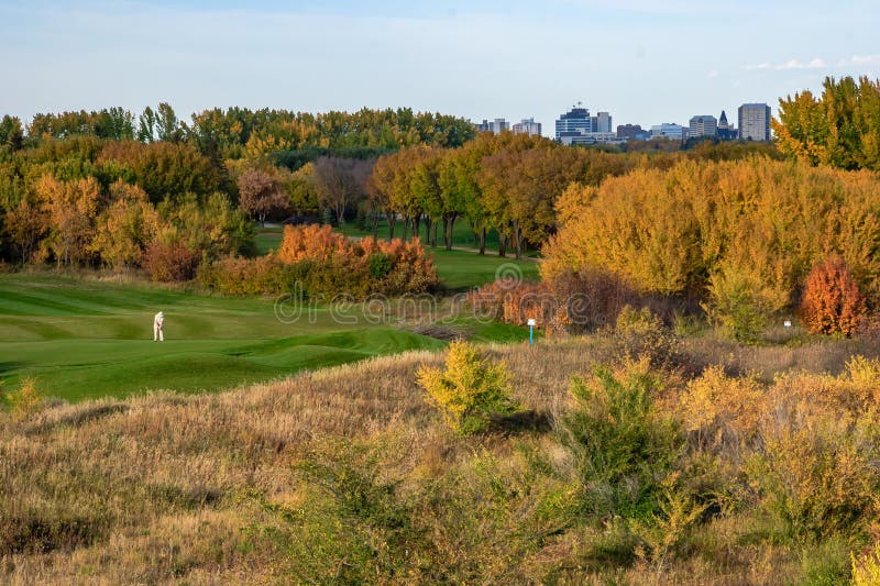A Golf Course with a Man Walking on the Green Stock Photo - Image of ...