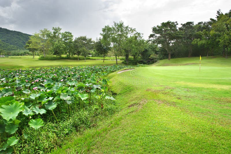 Golf course from dry land stock photo. Image of green - 20388406