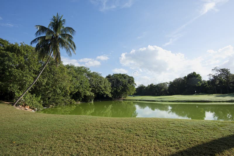 Golf Course with a Natural Lake in the Tropics Stock Photo - Image of ...