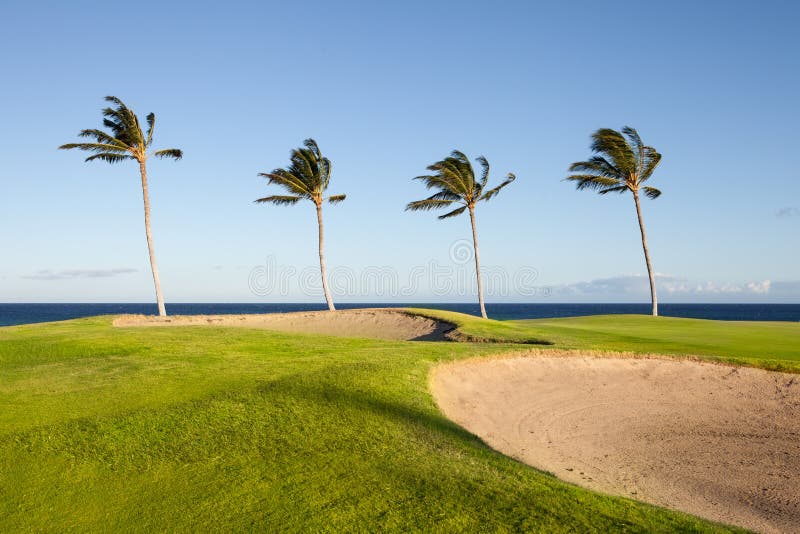 Golf Course on the Ocean stock photo. Image of dream - 26389812