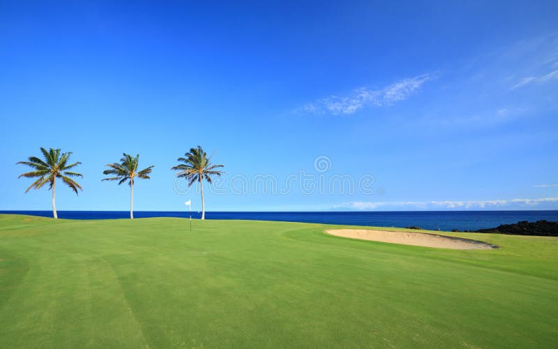 Golf Course on Ocean Coast stock photo. Image of coast - 6727898
