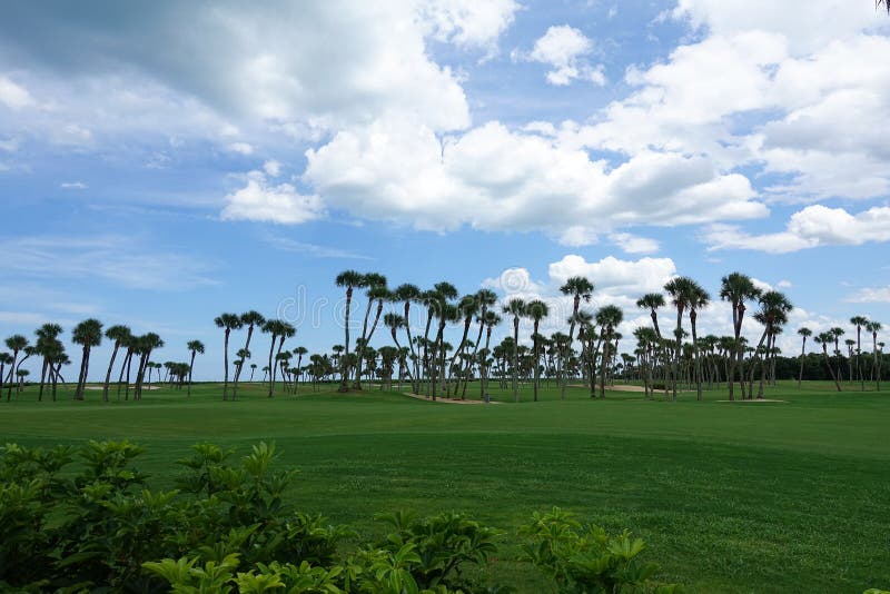 Golf course on the ocean editorial stock photo. Image of florida ...