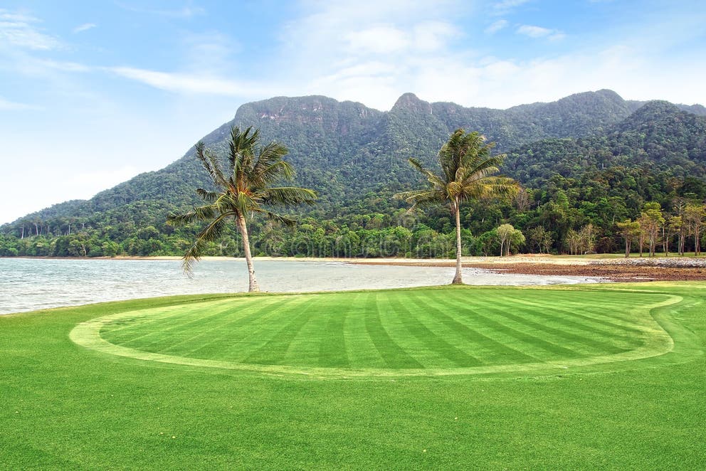 Golf Course and Palm Trees. Stock Photo - Image of game, paradise: 38979492