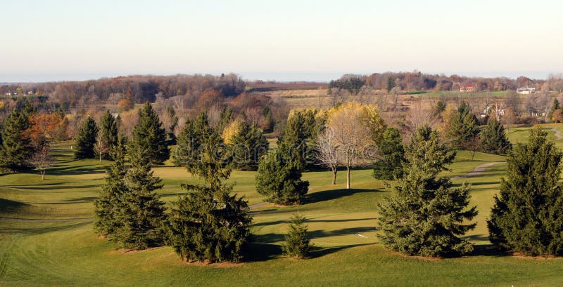 Golf course in pine trees stock image. Image of grass - 17021989
