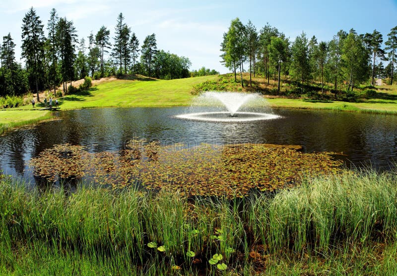 Golf course pond stock image. Image of lifestyle, nature - 7708235