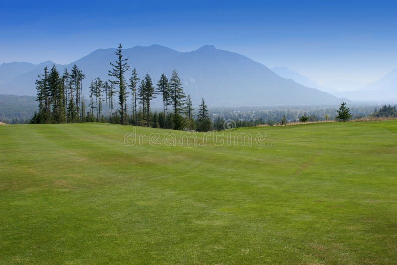Golf Course Scenery stock image. Image of view, serene - 203355