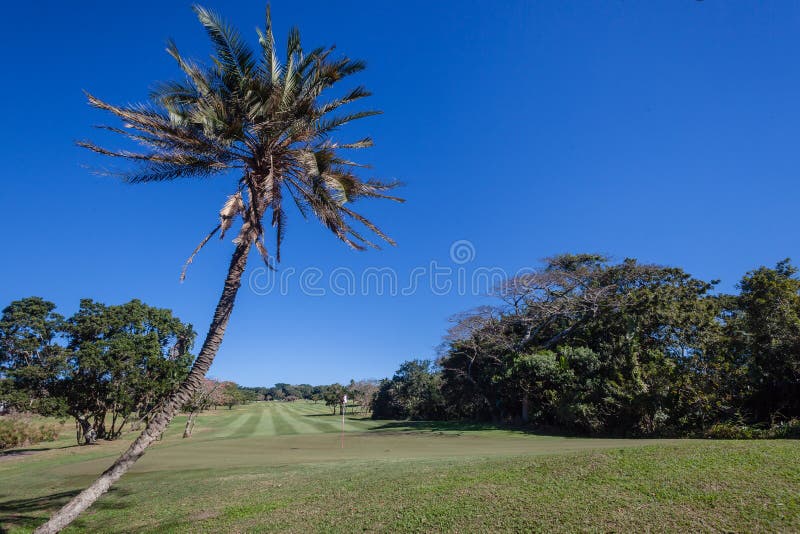 Golf Course Selborne editorial photo. Image of southafrica - 29676836