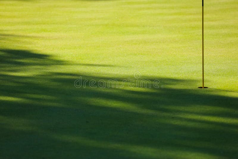 Golf Course, Shadows from Trees on the Grass. Green Grass. Background ...