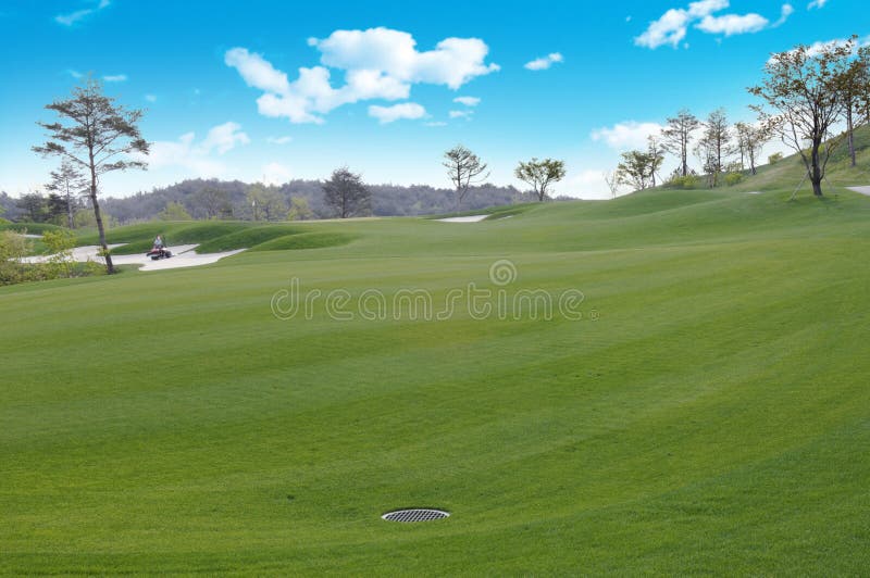 Golf Course stock photo. Image of sports, golfcourse - 81536672