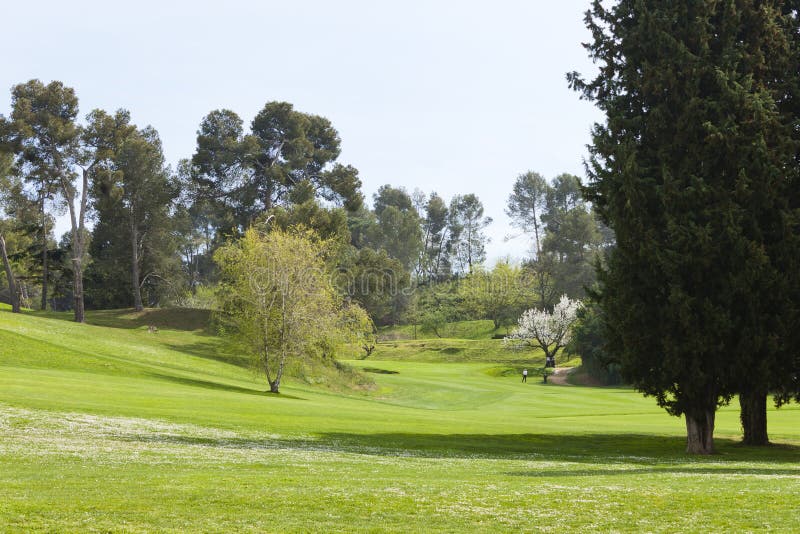 Spring golf stock photo. Image of trees, spring, grass - 1034784