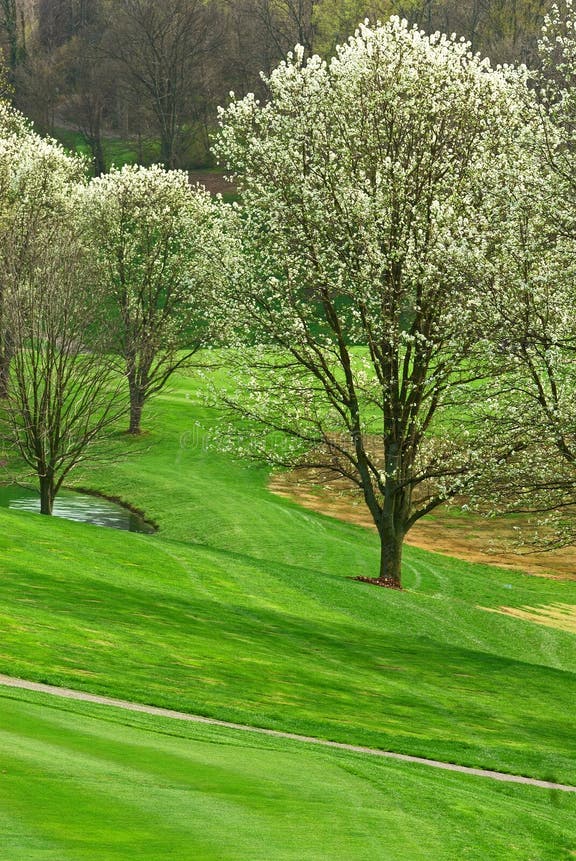 Golf Course in Springtime stock photo. Image of road, putter - 2223514