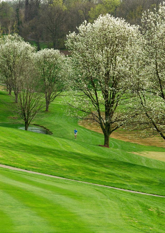 Golf Course stock photo. Image of flag, colorful, water - 1462034