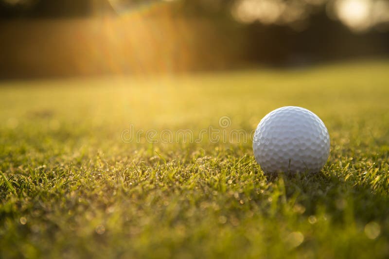 Golf course on a sunny day stock photo. Image of sport - 324349714