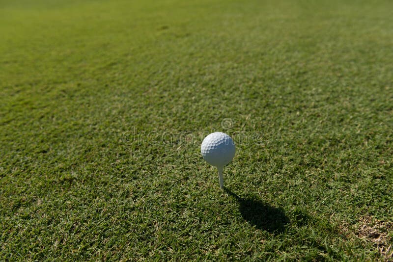 Golf course on sunny day stock image. Image of ball, fairway - 71593445