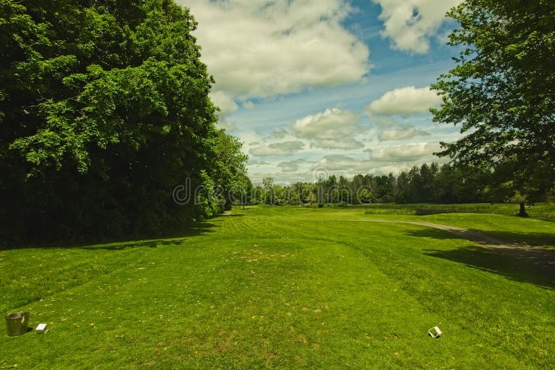 A Golf Course on a Sunny Day Stock Photo - Image of male, looking ...