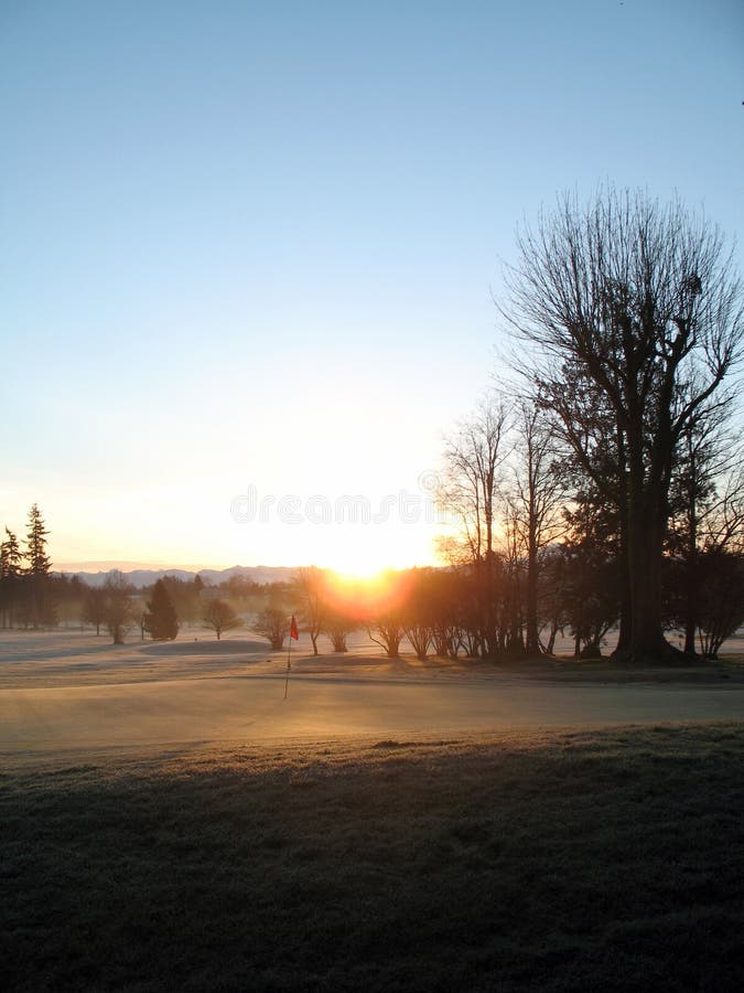 Golf course sunrise stock image. Image of tree, light - 4367977