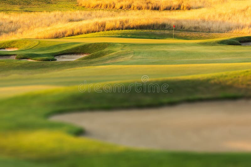 Golf Course at Sunset stock image. Image of beautiful - 50024675