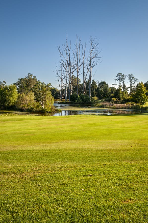 Golf Course with Treelined Fairways and Mountain Views Stock Image ...