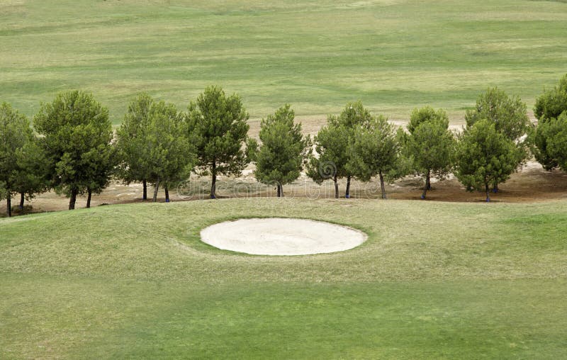 Golf course with trees stock photo. Image of game, chests - 25912578