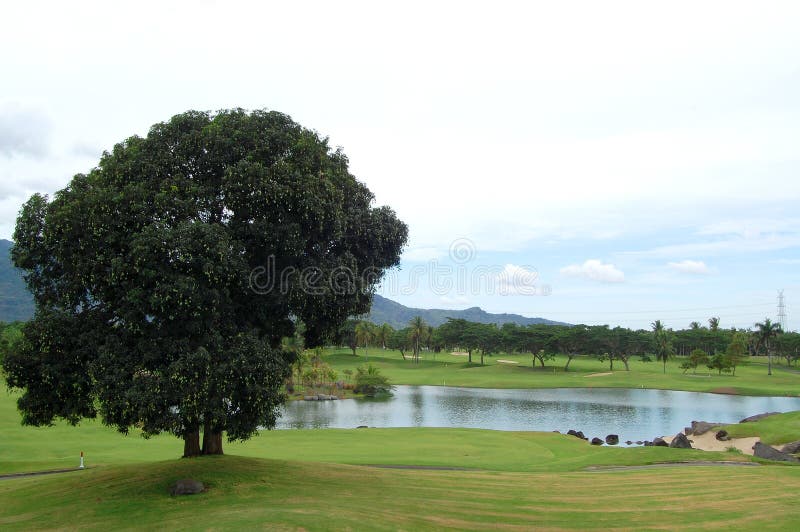 Golf Course with Trees, Mountain, and Lake at Mount Malarayat in Lipa ...