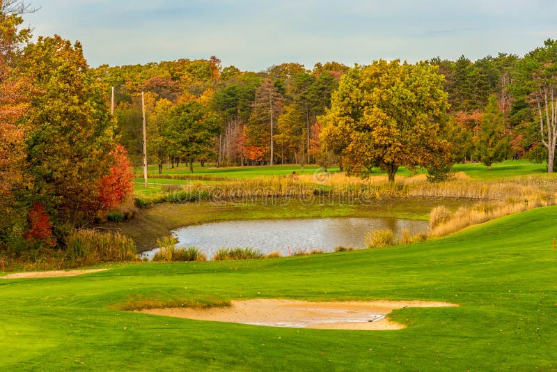 Golf course water trap stock image. Image of reed, pond - 104635293