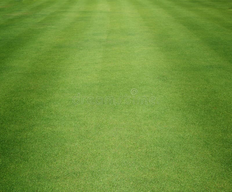 Golf Courses Pattern Stock Illustrations – 14 Golf Courses Pattern ...