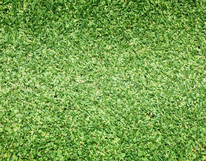 Golf Courses Pattern Stock Illustrations – 36 Golf Courses Pattern ...