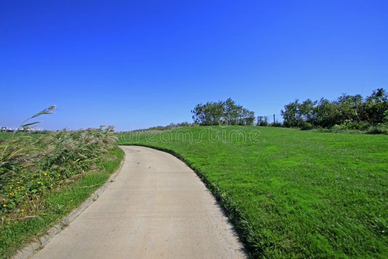 Golf Courses and Road Vegetation Stock Image - Image of autumn, plants ...