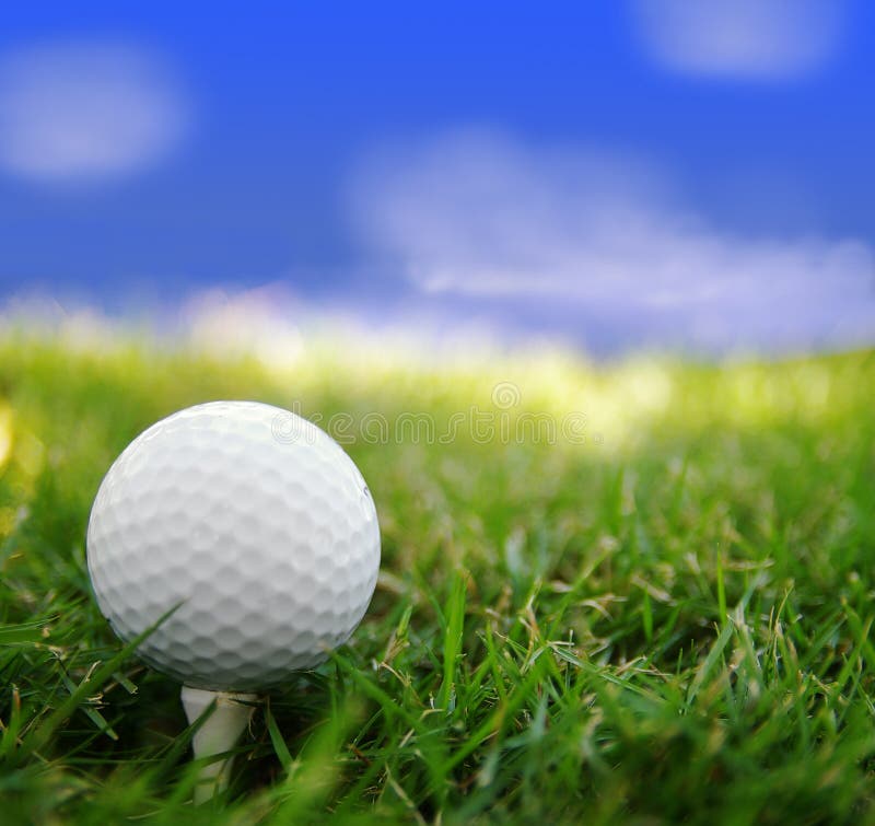 Golf day stock image. Image of outdoor, golfing, sport - 2501893