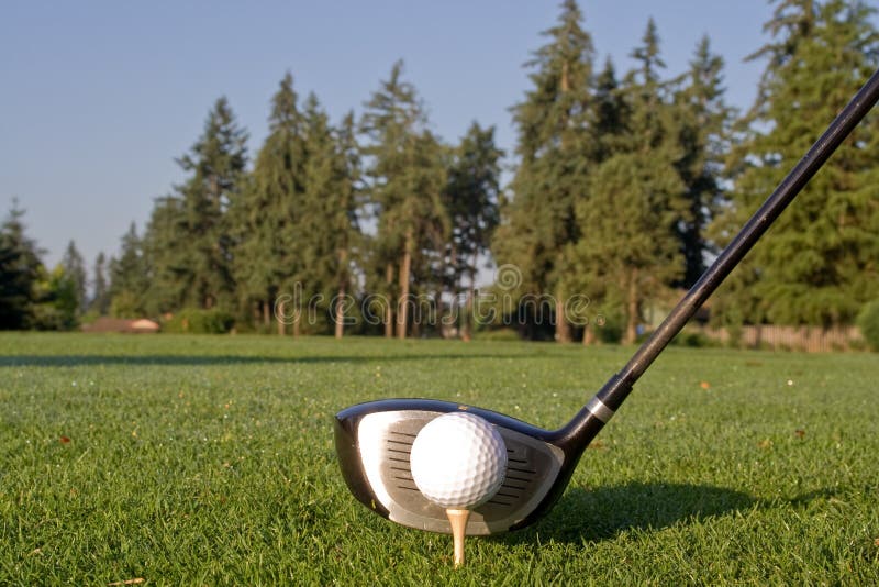 Golf Ball Picture. Image: 1466326