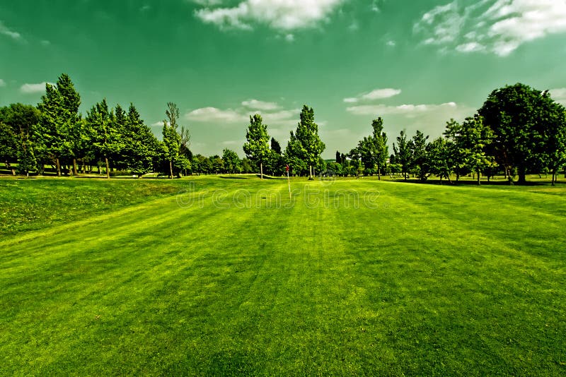 Golf field stock photo. Image of flag, grass, equipment - 16371802