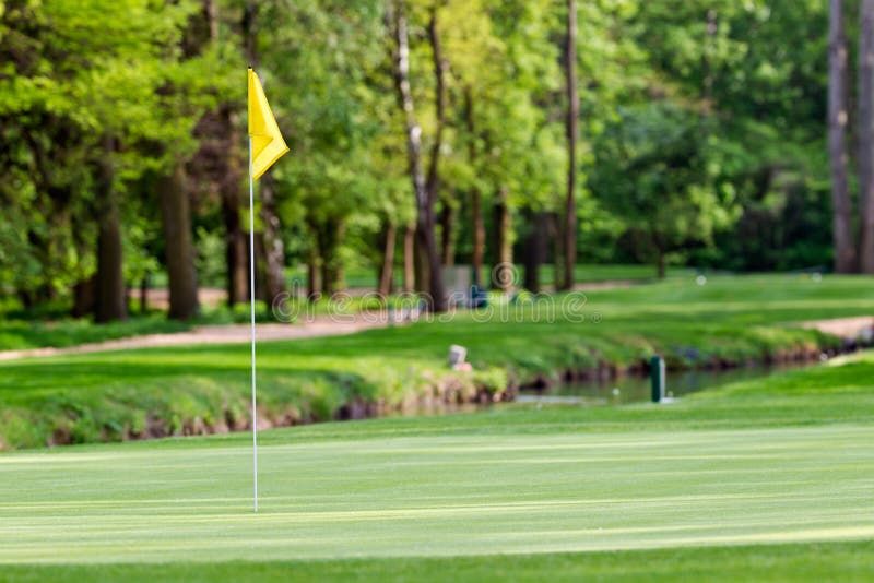 Golf field stock photo. Image of woodland, idyllic, land - 19928048