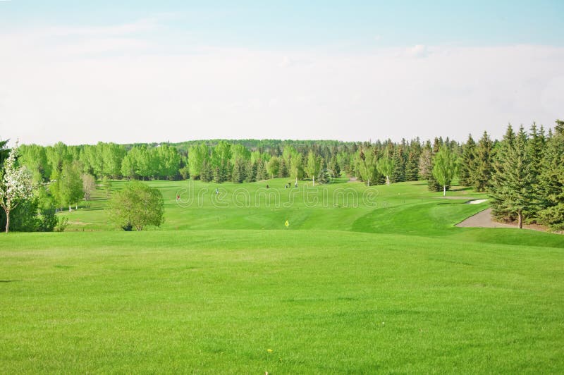 Golf field stock image. Image of playground, large, flag - 21543635