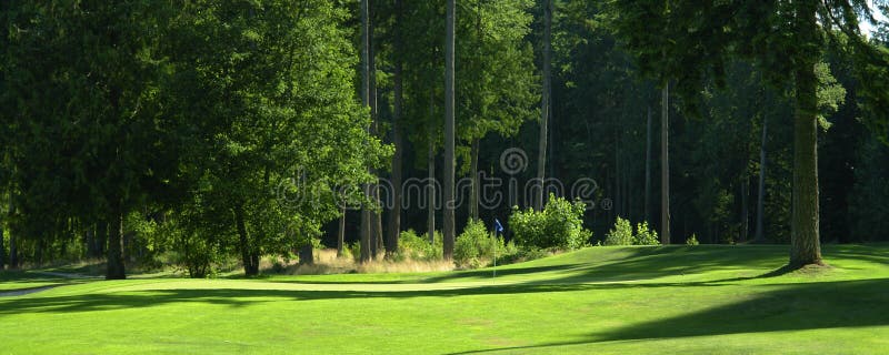 Golf Golfing Course Green Trees Stock Image - Image of flag, trap: 5870913