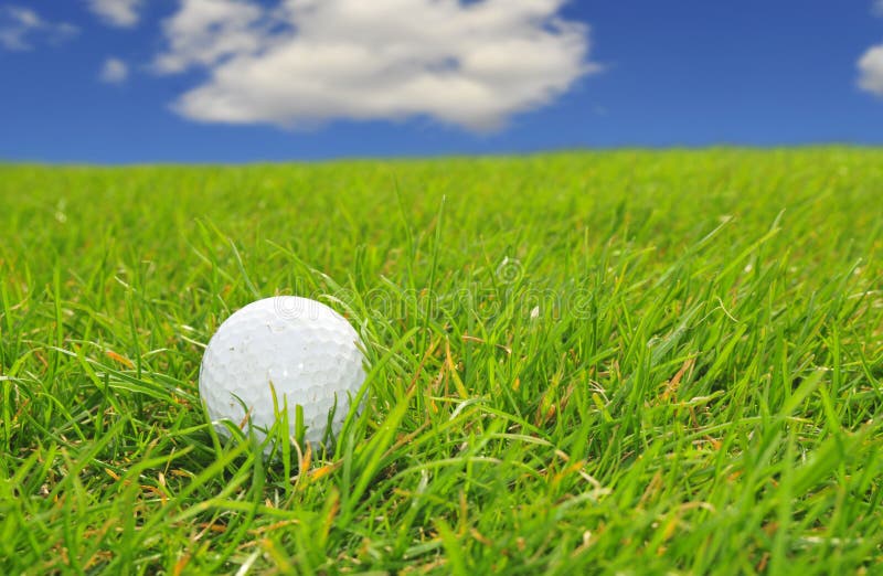 Golf Green Picture. Image: 3119362