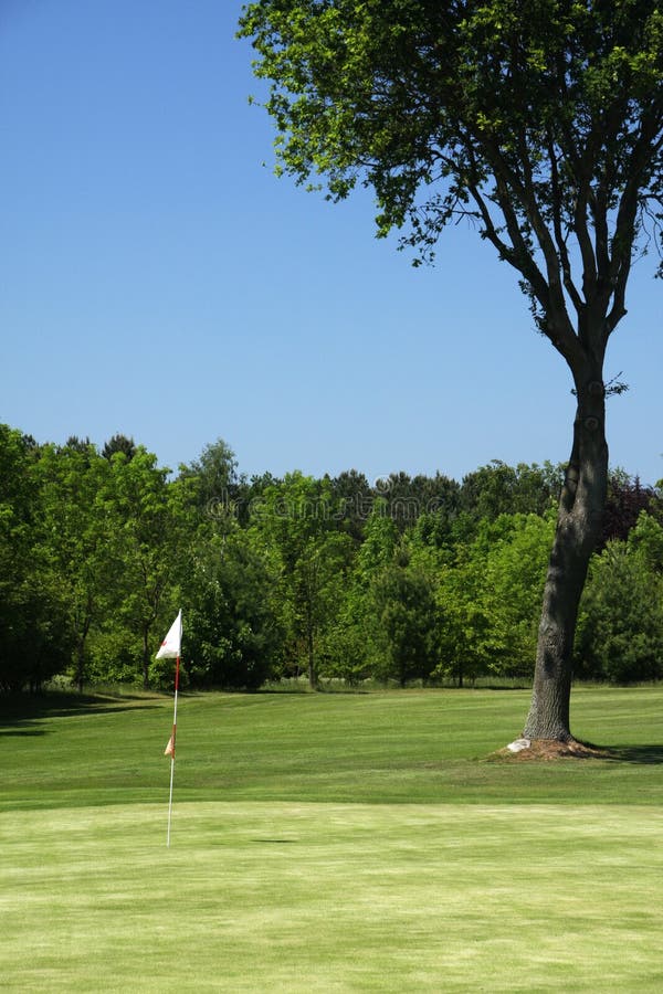 Golf course stock photo. Image of green, expansive, club - 797366