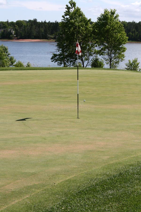 Golf Green and Flag stock photo. Image of golf, leisure - 11075814