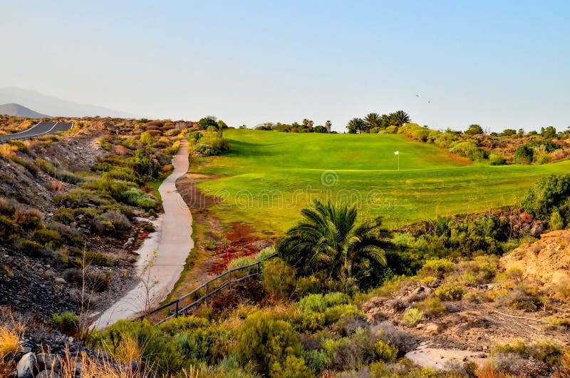 Golf Green Grass Fiel stock photo. Image of ball, game - 261371486