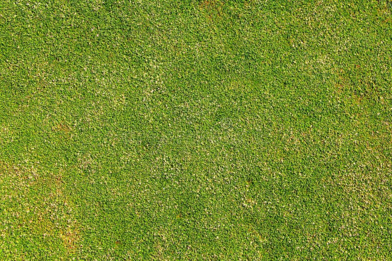 Golf green stock image. Image of growth, outdoor, golfing - 112998739