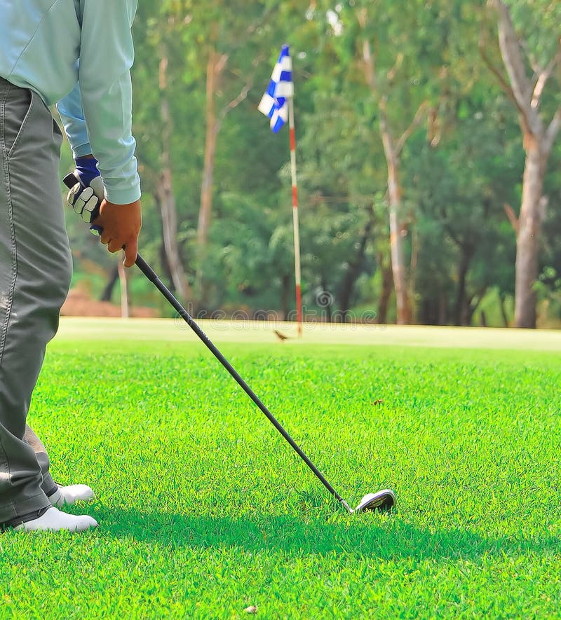 Golf Green Hole Course Man Putting Ball Stock Photo - Image of male ...