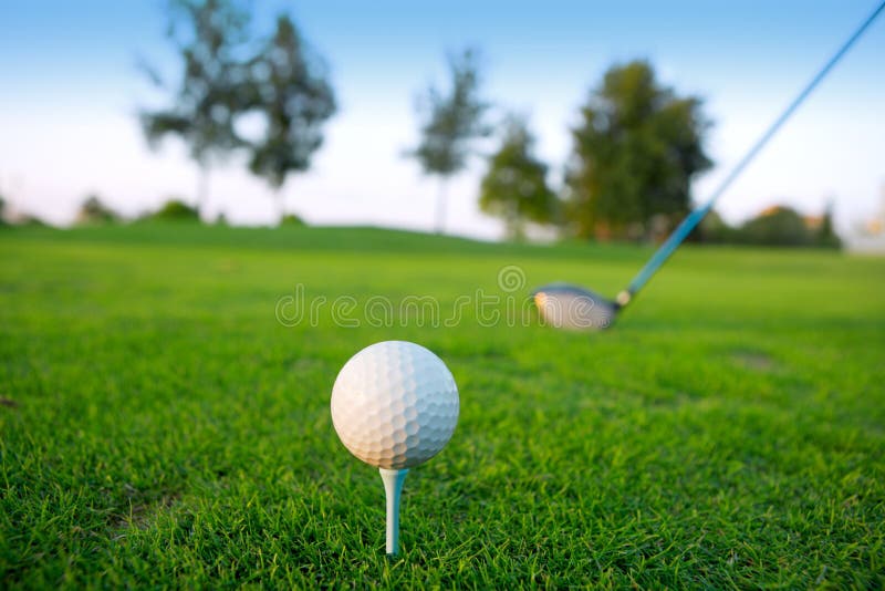 Golf Green Hole Course Man Putting Short Ball Stock Image - Image of ...
