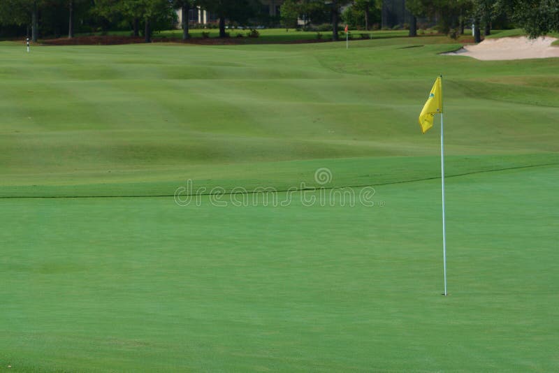 Golf green stock photo. Image of green, golf, fairway - 59276522