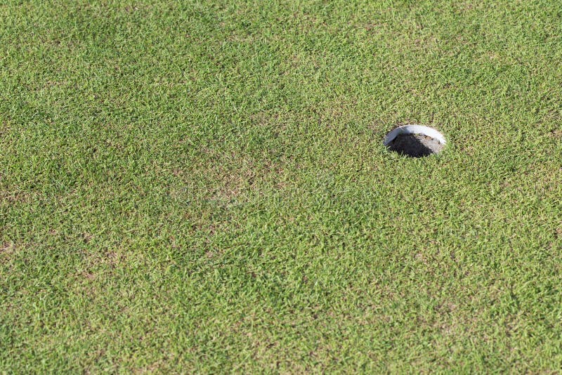 Golf hole on green grass stock photo. Image of exercise - 47155334