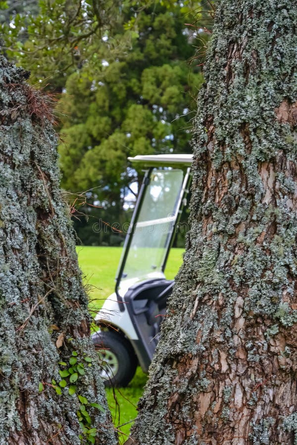 Golfers Kart on Golf Course Behind Tree Stock Image - Image of meadow ...