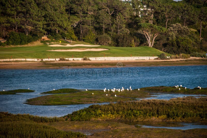 Golf or nature stock photo. Image of lorenzo, life, almancil - 34375536