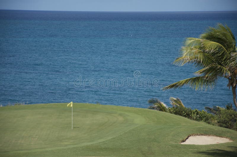 Golf and palm tree stock image. Image of golf, woods - 28260487