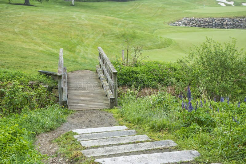 Golf Path stock image. Image of weeds, steps, bridge - 31475441