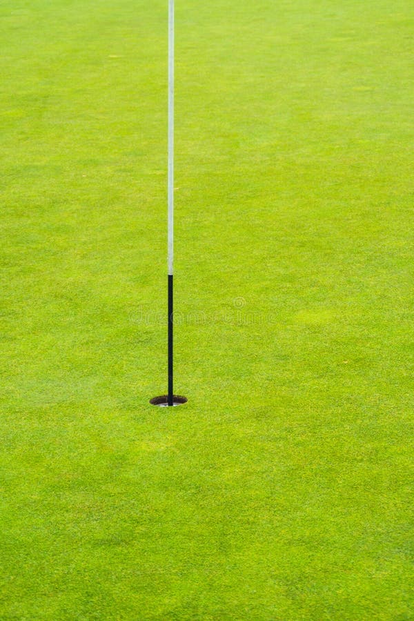 Golf Pin on a Well Manicured Green Stock Photo - Image of color, flag ...