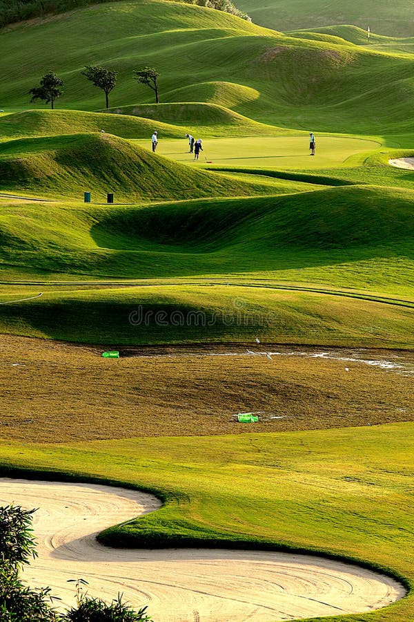 Golf place and sunset stock photo. Image of beautiful - 11191494